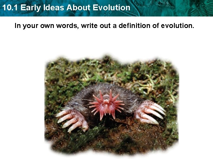 10 1 Early Ideas About Evolution In your