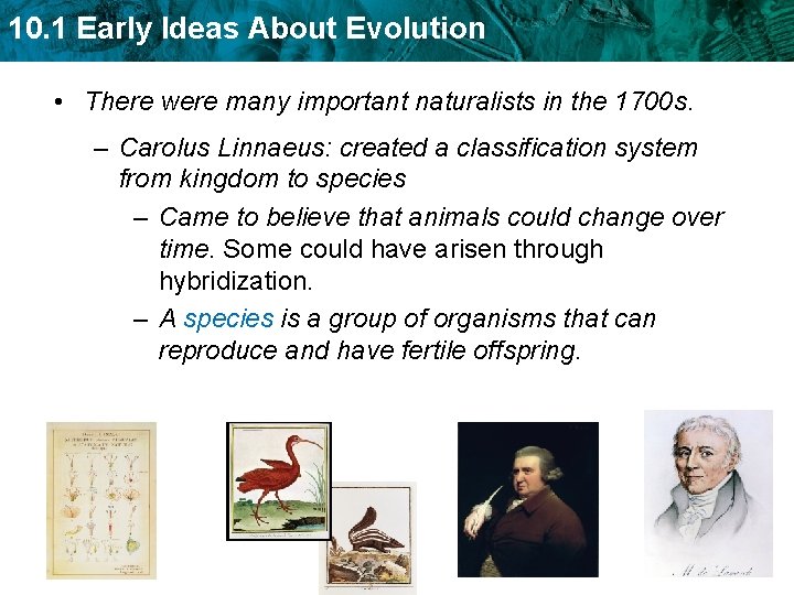 10 1 Early Ideas About Evolution In your