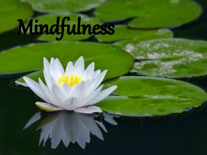 Mindfulness What is mindfulness Mindfulness is the intentional