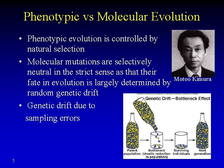 Evolution and Population Genetics Xiaole Shirley Liu STAT