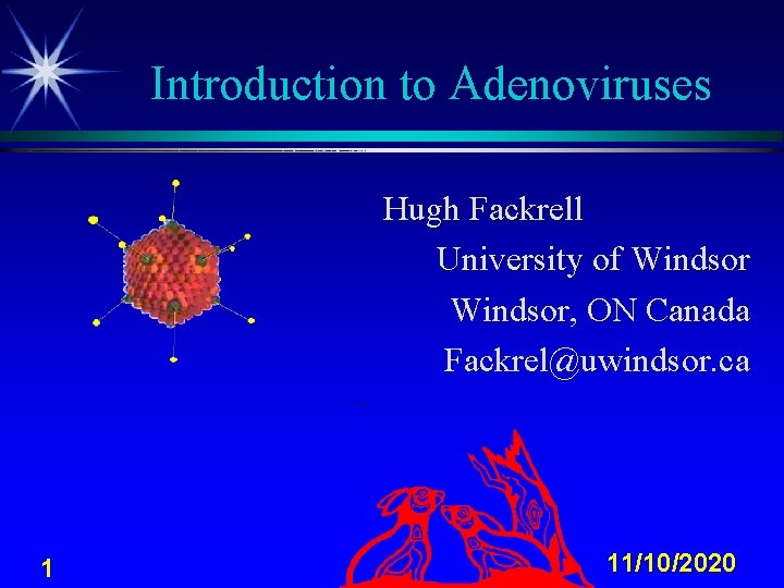 Introduction to Adenoviruses Hugh Fackrell University of Windsor