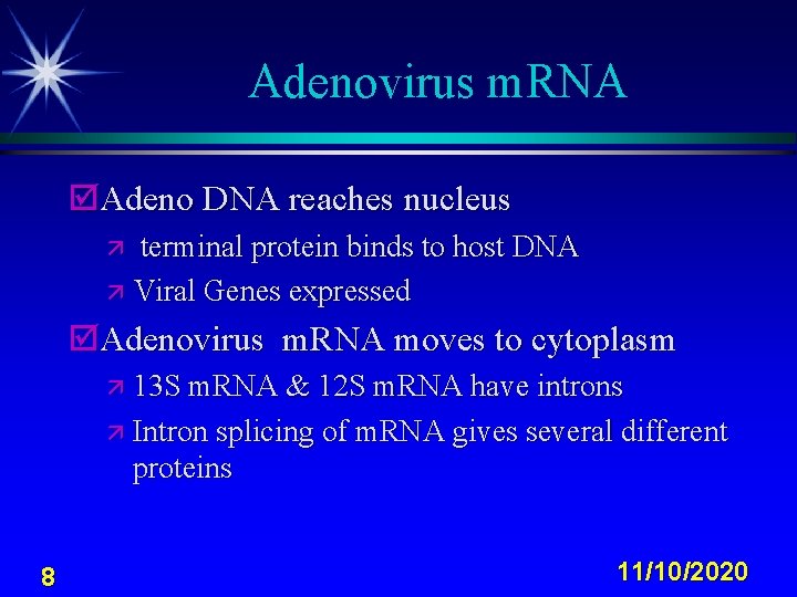 Introduction to Adenoviruses Hugh Fackrell University of Windsor