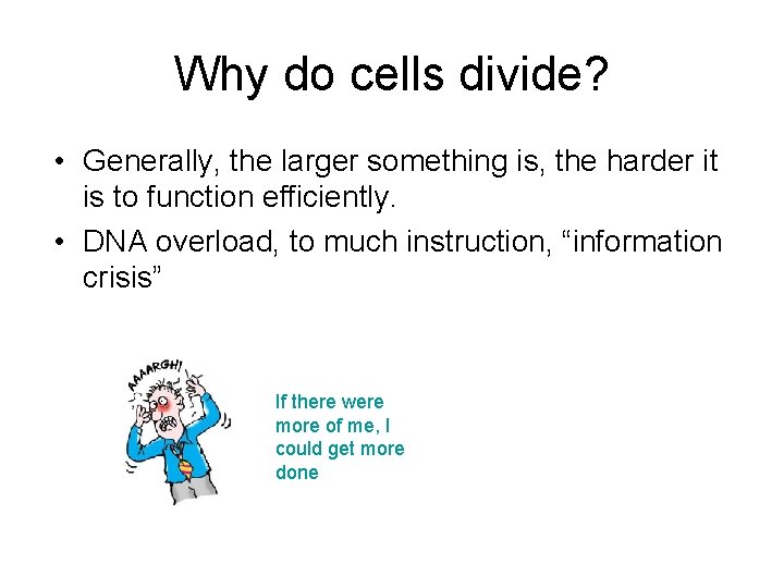 Cell Growth and Division Why do cells divide