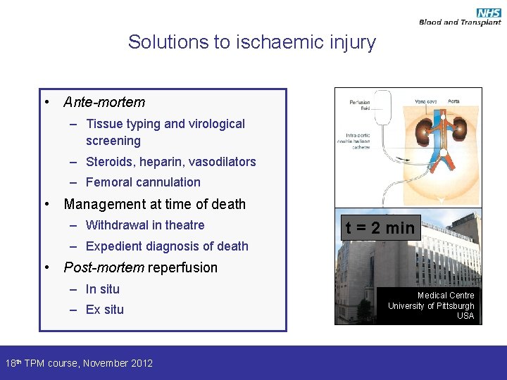Maastricht Classification of DCD Definition I Where Dead