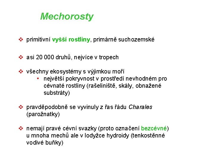 Mechorosty Bryophytae Fylogeneze a diverzita rostlin cvien Bi