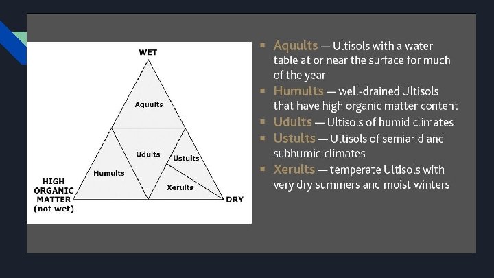 Ultisols Derived from the Latin word ultimus literally