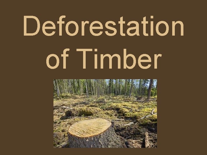 Canadas Environmental Issues Credits Retrieved from www Slideshare