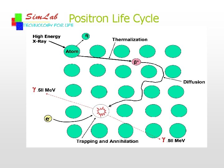 Peter Ballo Positron Life Cycle e enters defect