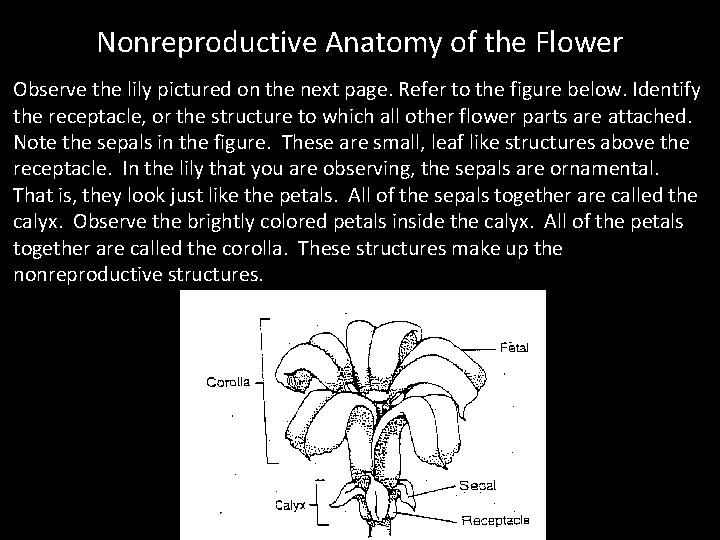 Flower Dissection Lab Biology Resource Manual Pages 26