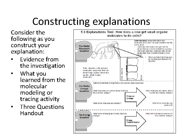 Carbon Transformations in Matter and Energy Environmental Literacy