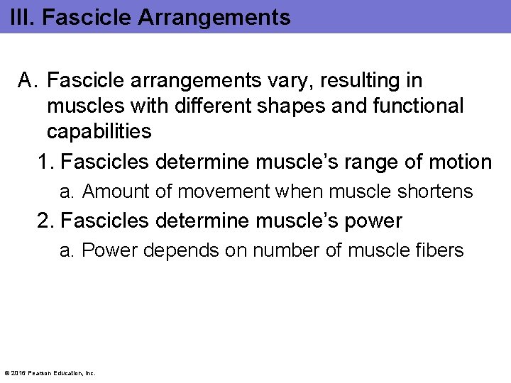 Chapter 10 Part A The Muscular System Annie