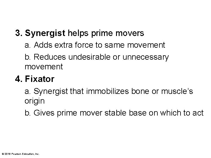 Chapter 10 Part A The Muscular System Annie