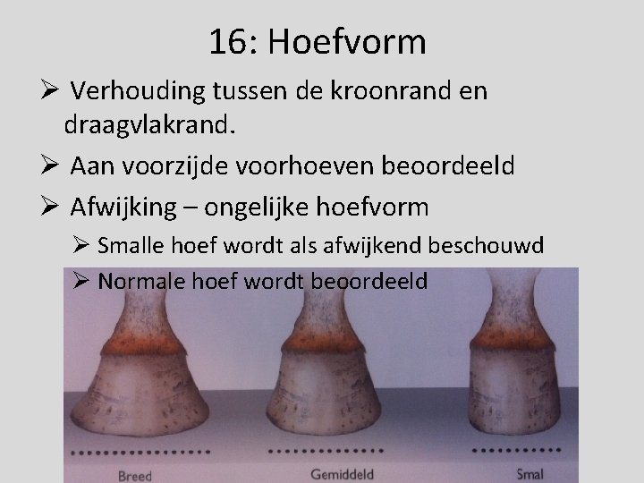 Exterieur beoordelen Doel Jullie kunnen het exterieur van