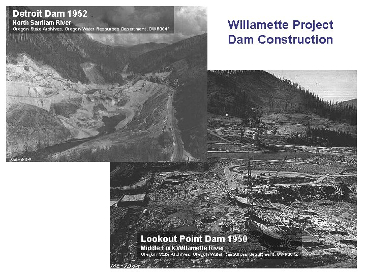 Willamette Project Biological Opinions Presentation to the NW