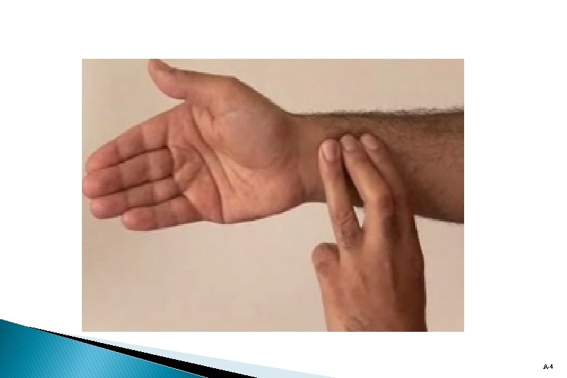 Vital signs 1 Outlines Pulse Respiration Temperature Blood