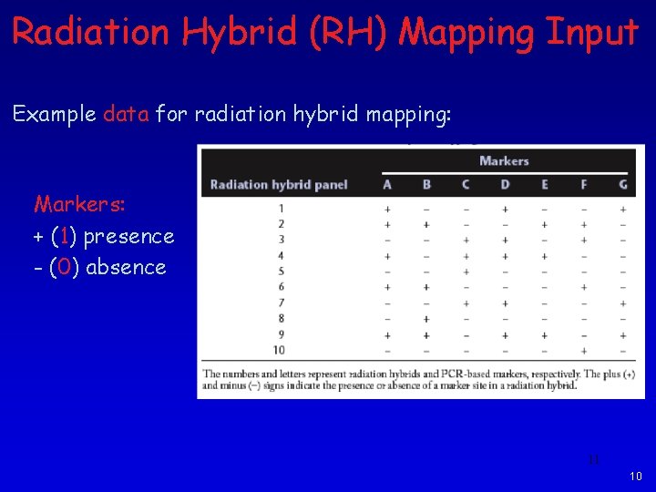 Radiation Hybrid RH Mapping Computational Genomics Course Lecture
