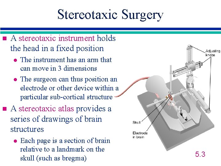 Biological Bases of Behavior 5 Methods and Strategies