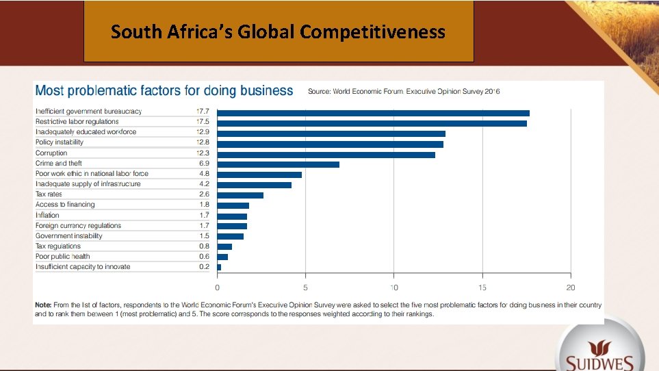 Competitiveness and the Sustainability of South African Agriculture