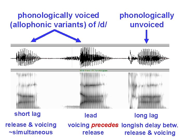 Stop Consonant Voicing and 2 nd language learning