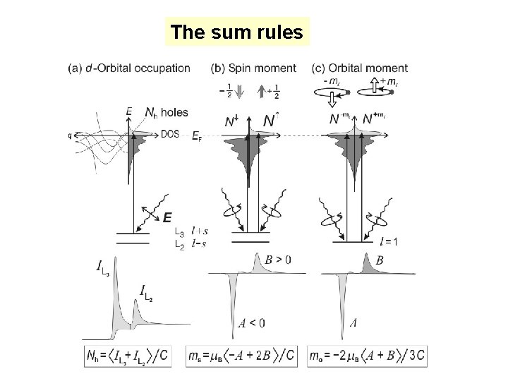 XRay Absorption Spectroscopy Joachim Sthr Stanford Synchrotron Radiation
