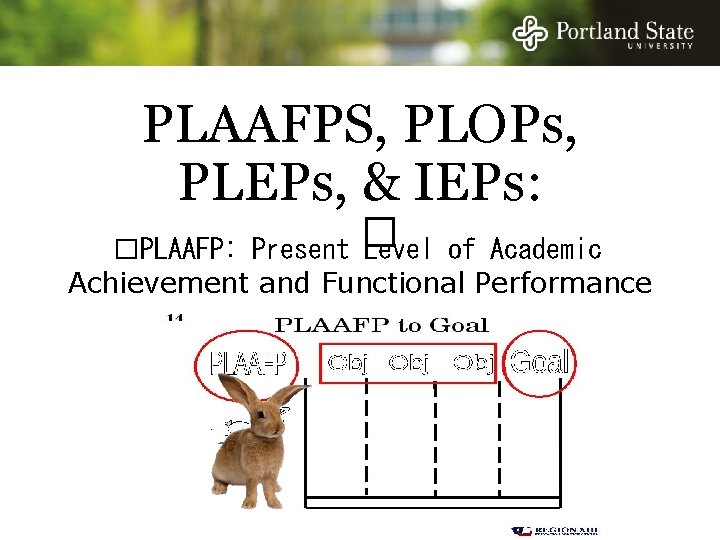 PLAAFPS PLOPs PLEPs IEPs PLAAFP Present Level of