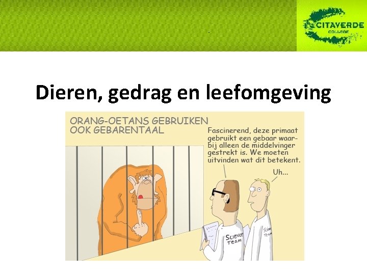 Dieren gedrag en leefomgeving Natuurlijke gedragingen Orintatie Het