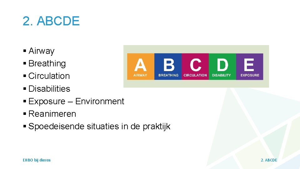 Module EHBO bij dieren Hoofdstuk 2 ABCDE 2