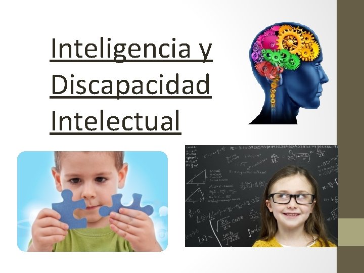 Inteligencia y Discapacidad Intelectual Qu significa ser inteligente