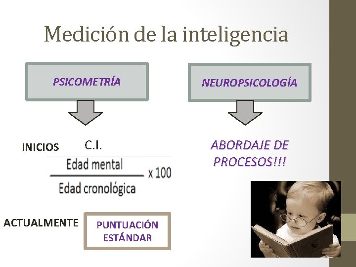 Inteligencia y Discapacidad Intelectual Qu significa ser inteligente