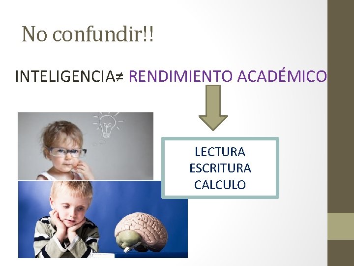 Inteligencia y Discapacidad Intelectual Qu significa ser inteligente