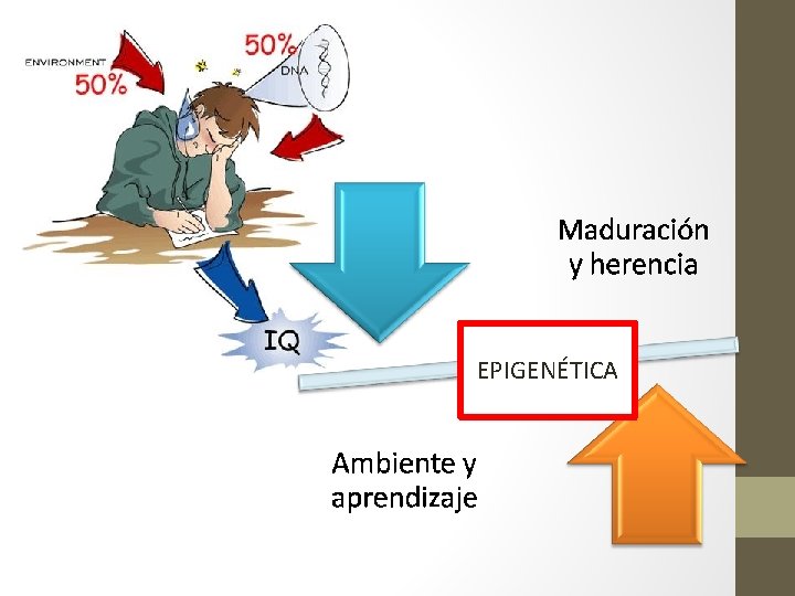Inteligencia y Discapacidad Intelectual Qu significa ser inteligente