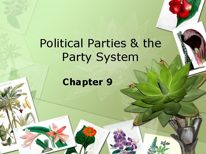 Political Parties the Party System Chapter 9 Learning