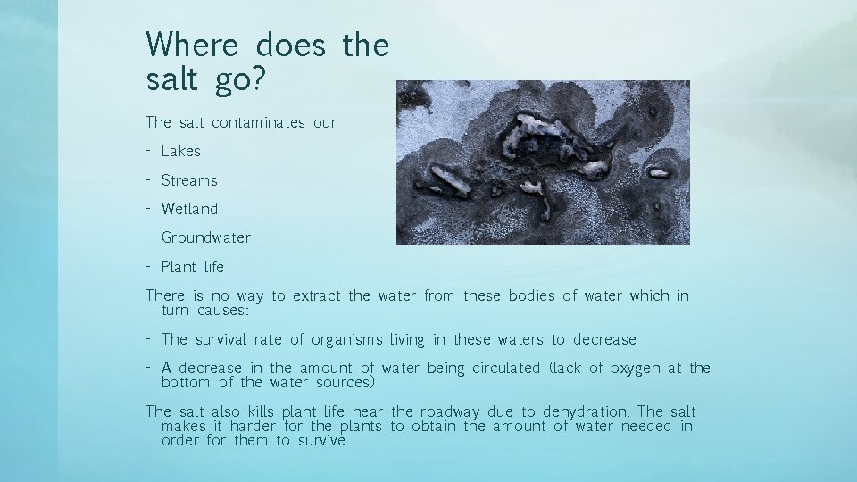 Final Stage Gate By Julia Sturtz Julia Garber