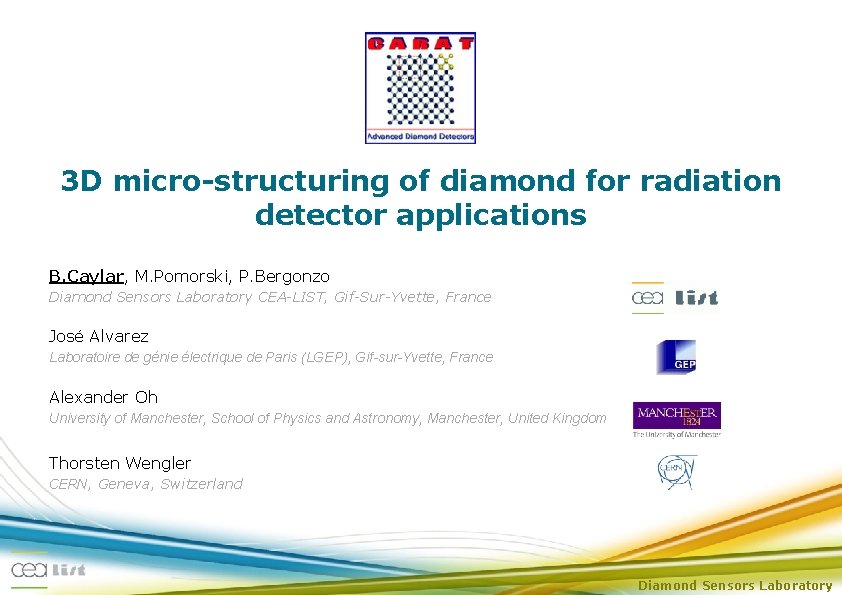 3 D microstructuring of diamond for radiation detector