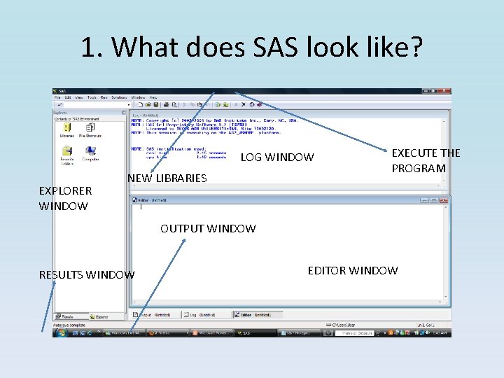 Introduction to SAS What is a data set