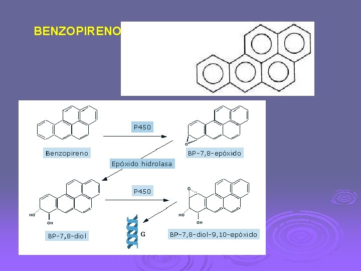 HIDROCARBUROS SEMANA 18 AROMTICOS Y DERIVADOS HALOGENADOS HIDROCARBUROS