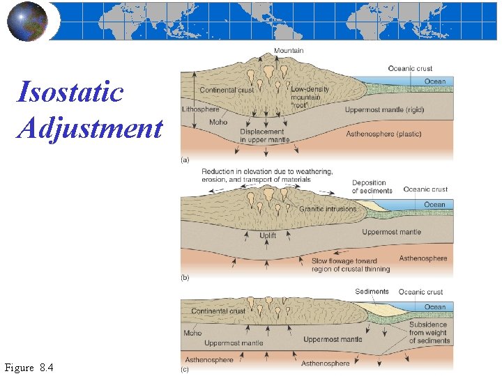 Chapter 8 The Dynamic Planet The Dynamic Planet
