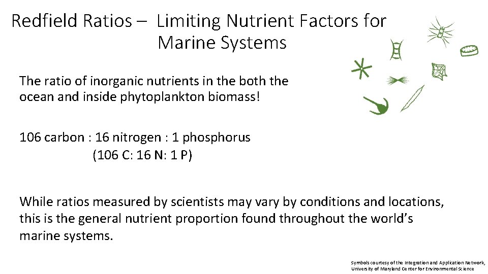 Feeding Time How Nutrients Drive Phytoplankton Growth Symbols