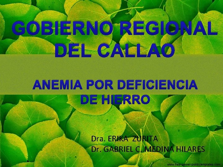 GOBIERNO REGIONAL DEL CALLAO ANEMIA POR DEFICIENCIA DE