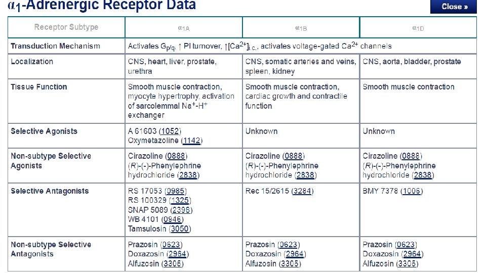 Structure activity relationship SARof sympathomimetic amines Adrenergic ...