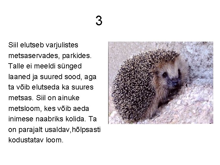 1 Kes toimetab siin rohu sees Siili kohta