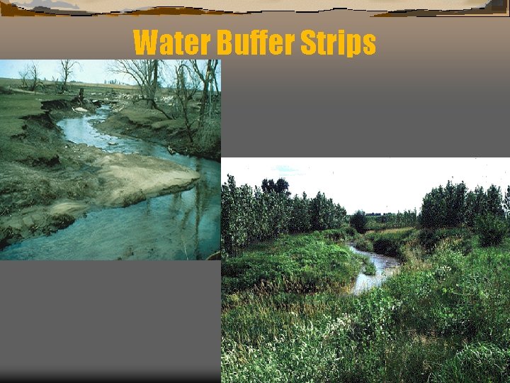 Unit 7 Forestry and Natural Resources Mr Ham