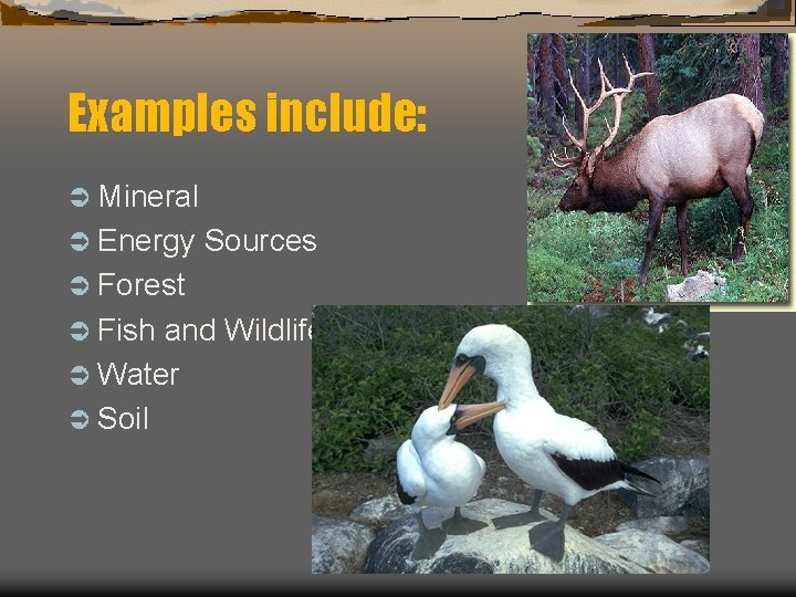 Unit 7 Forestry and Natural Resources Mr Ham