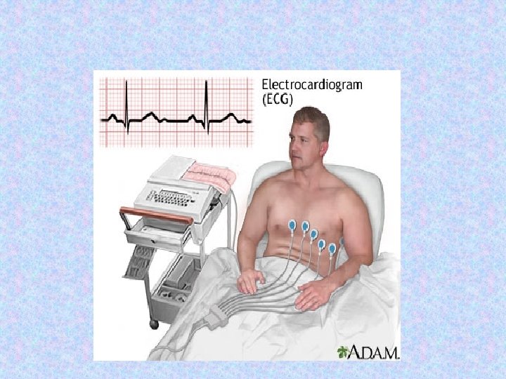 ARRITMIAS CARDACAS ANATOMIA DO CORAO FORMAO E CONDUO