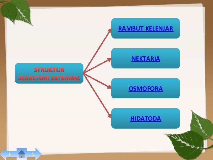 STRUKTUR DAN PERKEMBANGAN TUMBUHAN JARINGAN SEKRETORI KELOMPOK 7