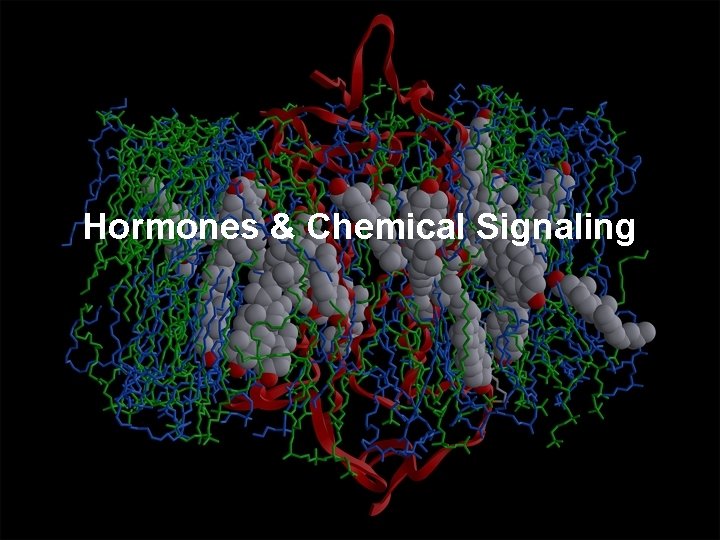 Hormones Chemical Signaling Lecture Outline Communication Basics ...