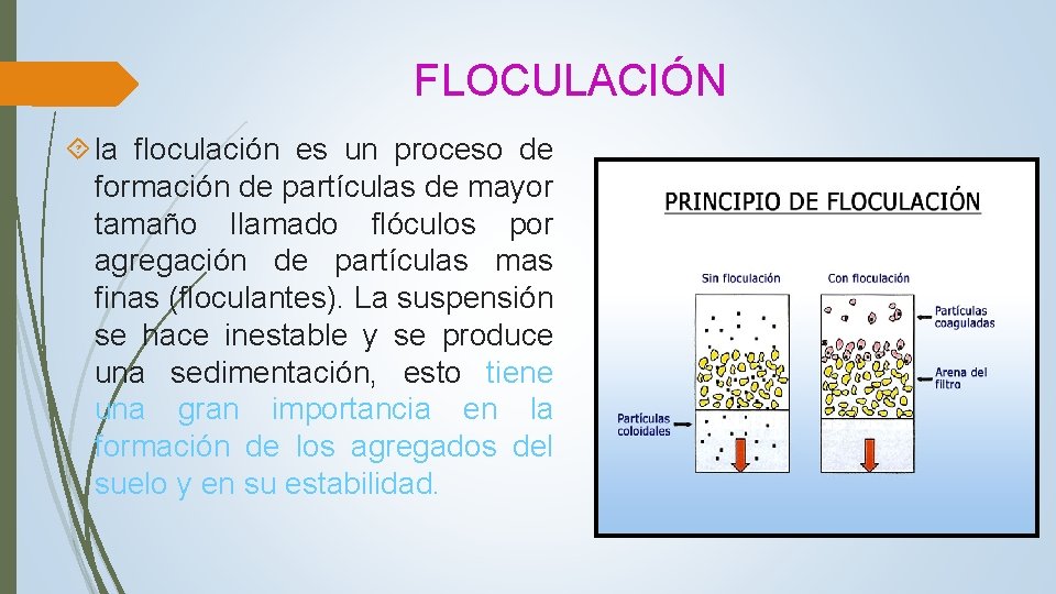 CARACTERES DE LA FASE DISPERSA 1 TAMAO NATURALEZA