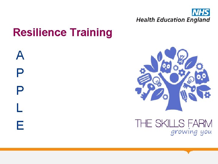 Morale resilience and burnout Developing a wellbeing strategy