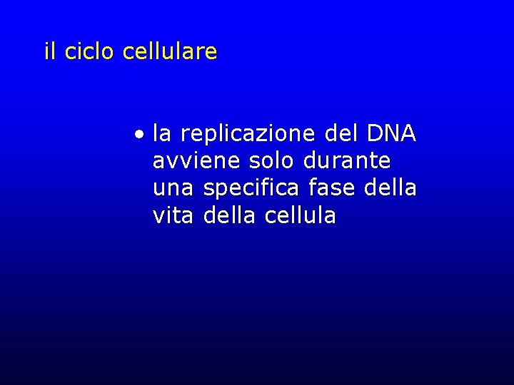 il ciclo cellulare la replicazione del DNA avviene