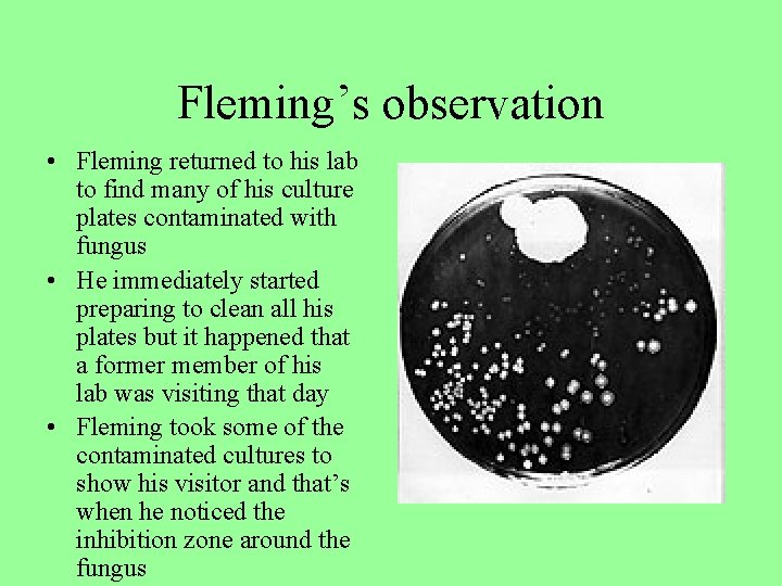 Alexander Fleming and Penicillin The Accidental Discovery By